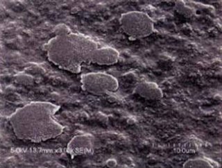 CHEMIPEARL™ | MITSUI CHEMICALS, INC.